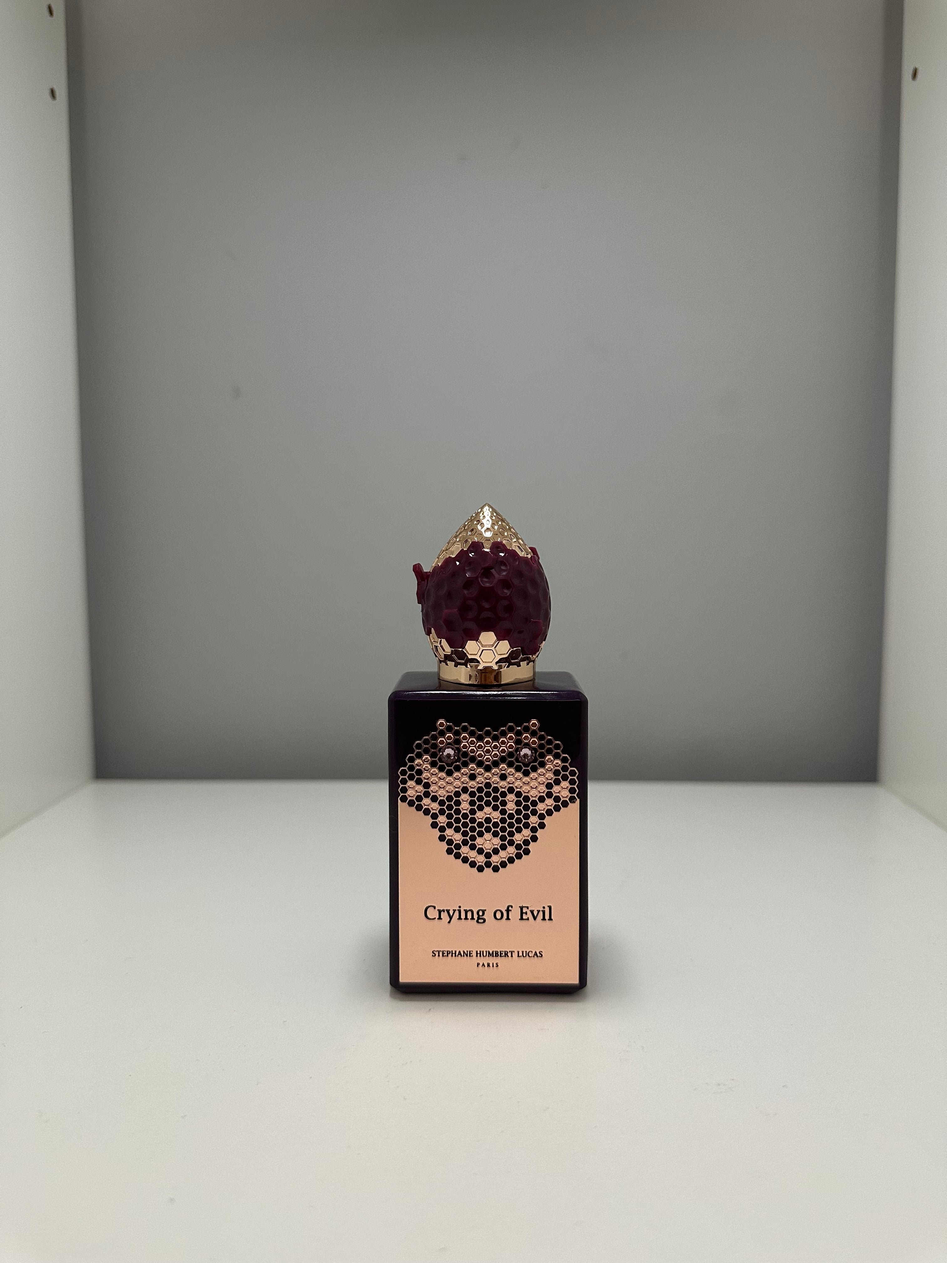 Stephan Humbert Lucas - Crying Of Evil - Sample – Jaysmellys